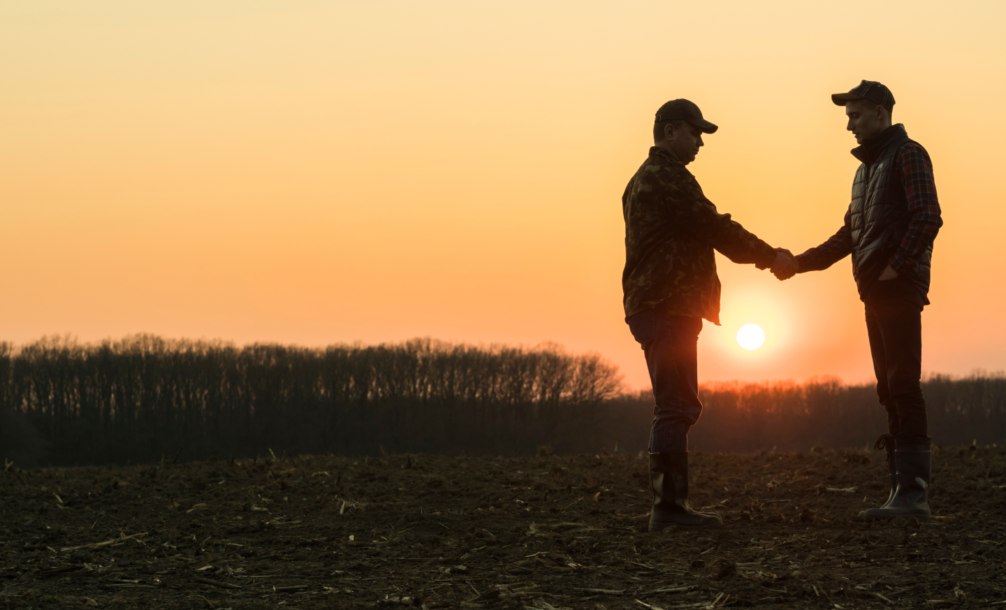 About | Freestone Renewables